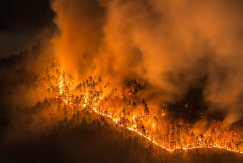 Is Fire a Natural Disaster or Not?